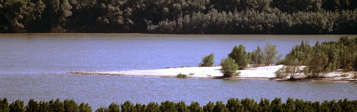 Reke, neobično moćni zagađivači - Klima101