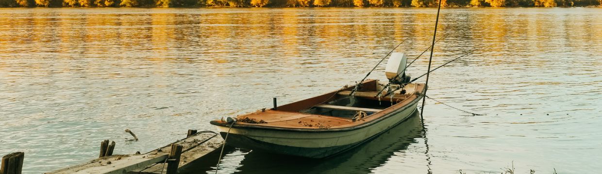 Od trovanja ljudi do promena pola kod žaba: Posledice organskog ...