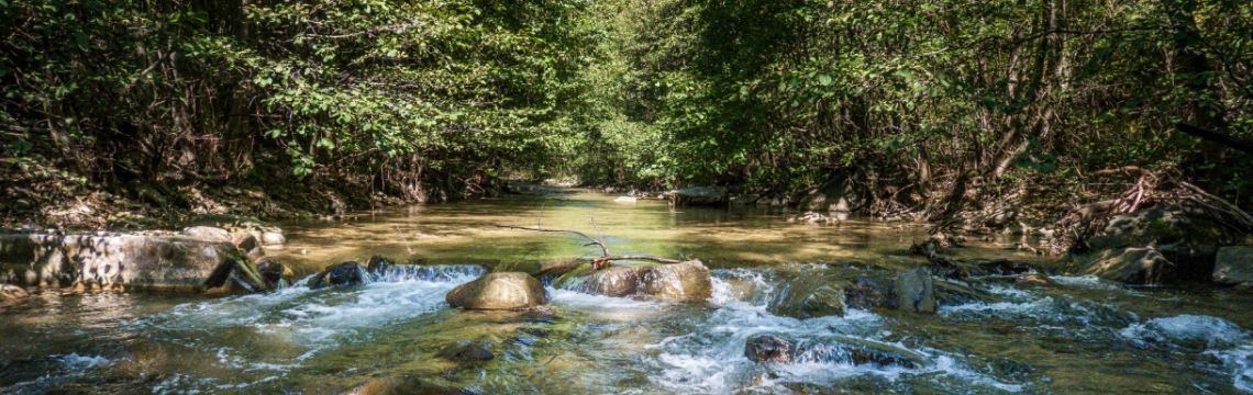 Stručnjaci pozivaju na uključivanje 29 reka u Srbiji u Emerald mrežu ...