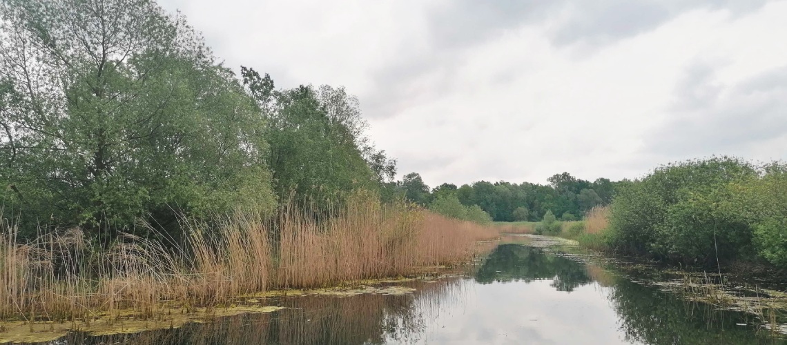 Reportaža: Kako klimatske promene menjaju lice Obedske bare
