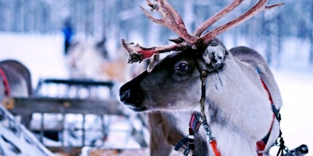Klima 101 - Vaš uvodni kurs za klimatske promene i globalno zagrevanje